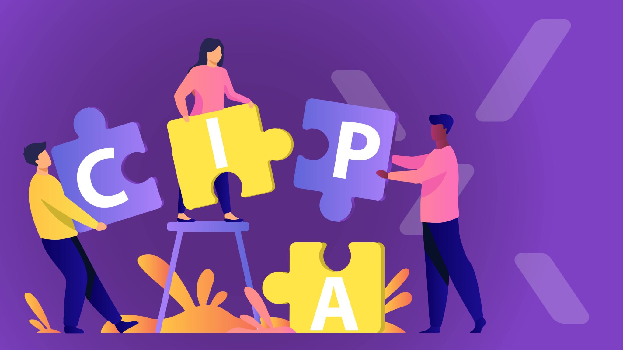 CIPA: Entenda o que é e quais são as principais atribuições | Weex